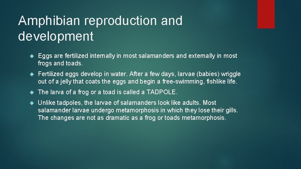 Amphibians reptiles COULTER What is an amphibian Amphibian