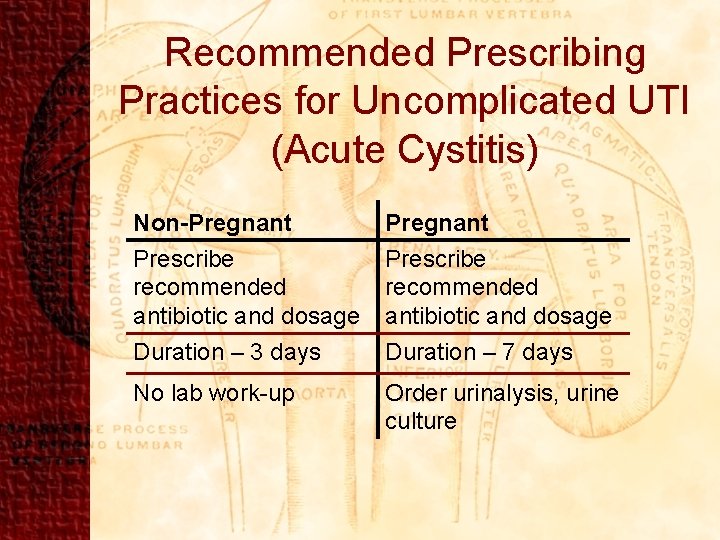Improving Private Practitioners Adherence to Clinical Practice Guidelines