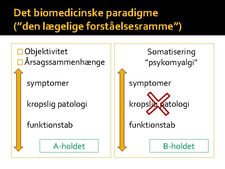 Kroniske smerter fibromyalgi Stine Amris Parker Instituttet Reumatologisk