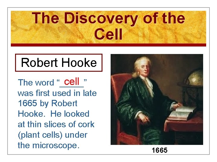 Cell Structure and Function The Basic Unit of