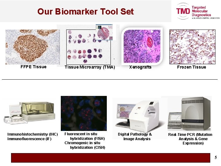 Tissue Biomarkers in Oncology Clinical Development The Digital