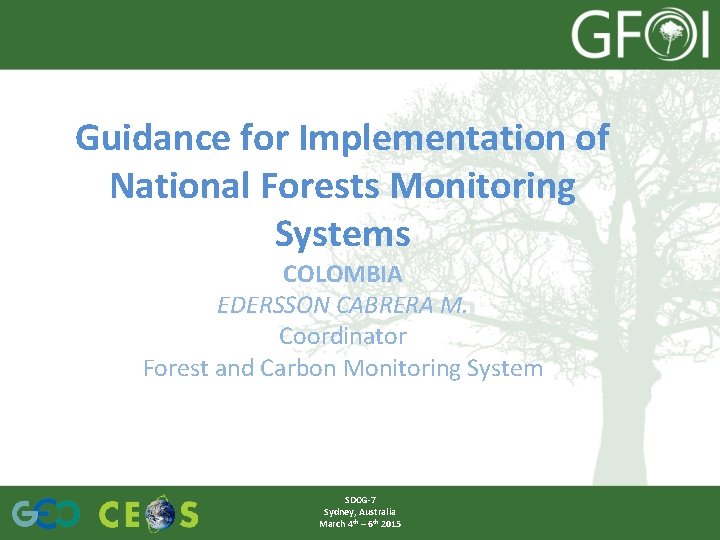 Guidance for Implementation of National Forests Monitoring Systems