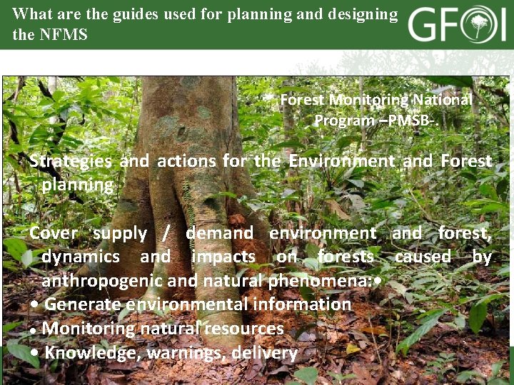Guidance for Implementation of National Forests Monitoring Systems