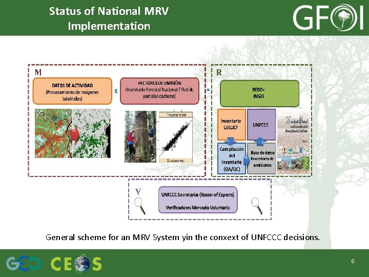 Guidance for Implementation of National Forests Monitoring Systems