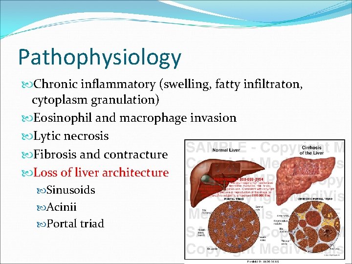 Chronic Liver Disease Tim Badcock FY 1 Colorectal