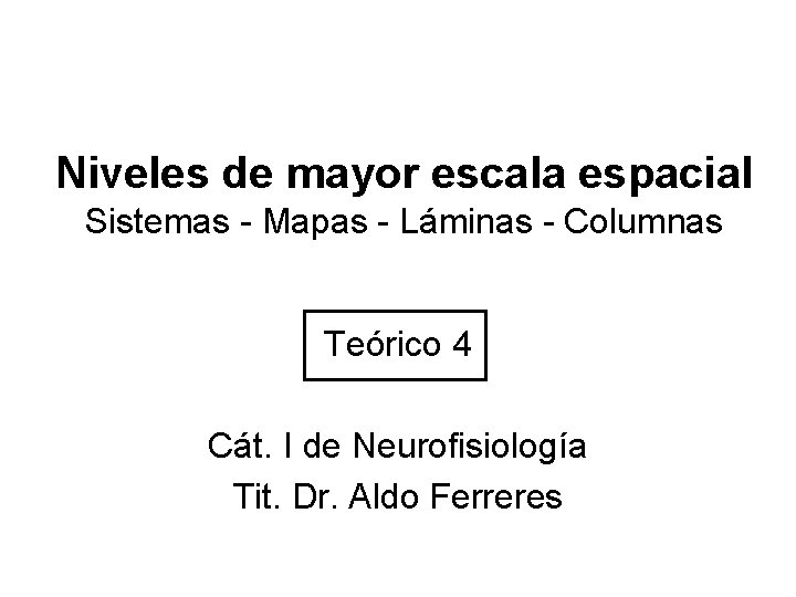 Niveles de mayor escala espacial Sistemas Mapas Lminas