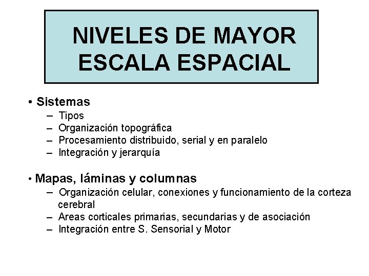 Niveles de mayor escala espacial Sistemas Mapas Lminas