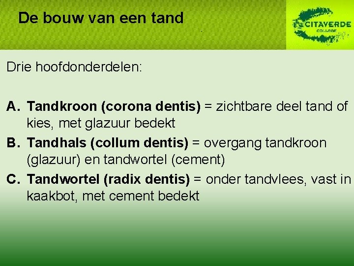 Tandheelkunde Bouw en functie gebit Klas 4 4