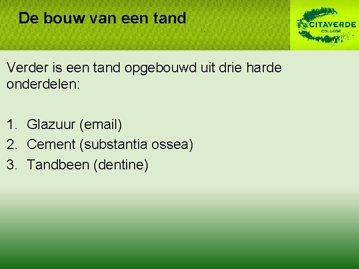 Tandheelkunde Bouw en functie gebit Klas 4 4