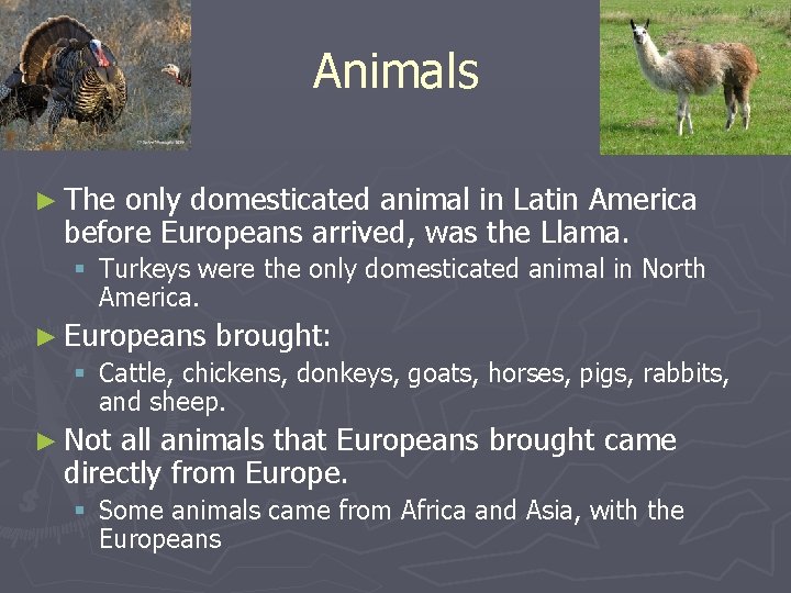 Columbian Exchange AP World History Period 4 1450