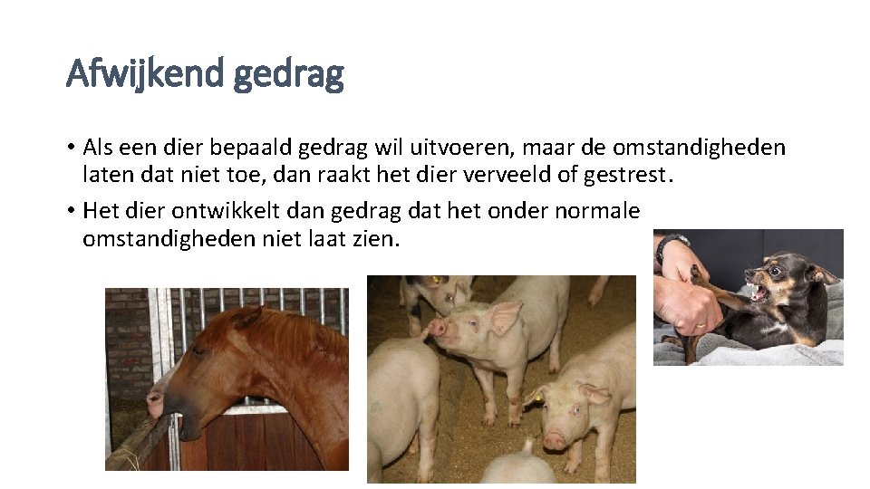 Gedragsverrijking Deskundig en vakbekwaam handelen bij afwijkingen Wat