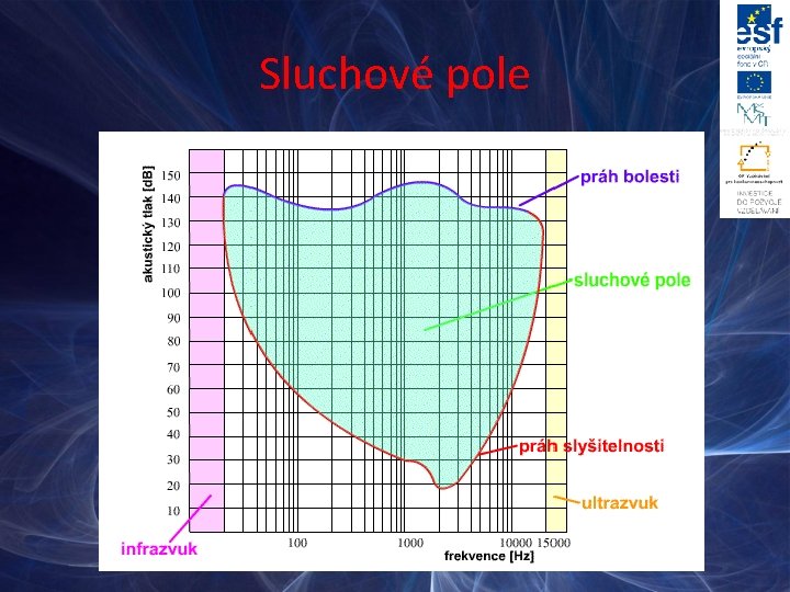 ANATOMIE SLUCHOVHO STROJ Organum auditum 1 zevn ucho