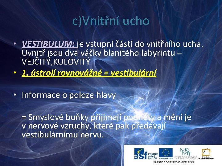 ANATOMIE SLUCHOVHO STROJ Organum auditum 1 zevn ucho