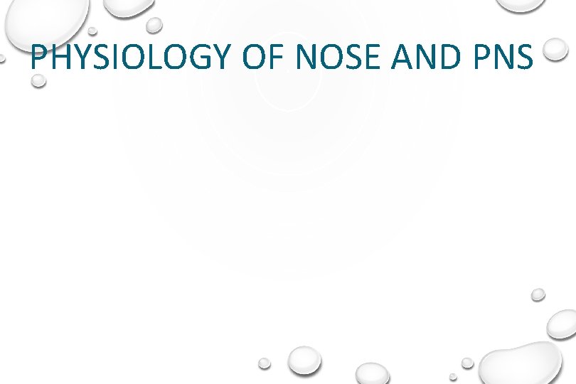 PHYSIOLOGY OF NOSE AND PNS Functions of the