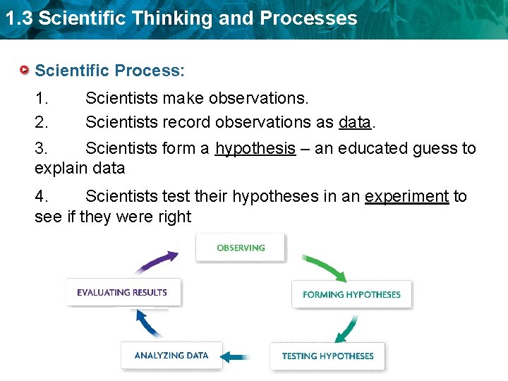 1 3 Scientific Thinking Bell andwork Processes Look