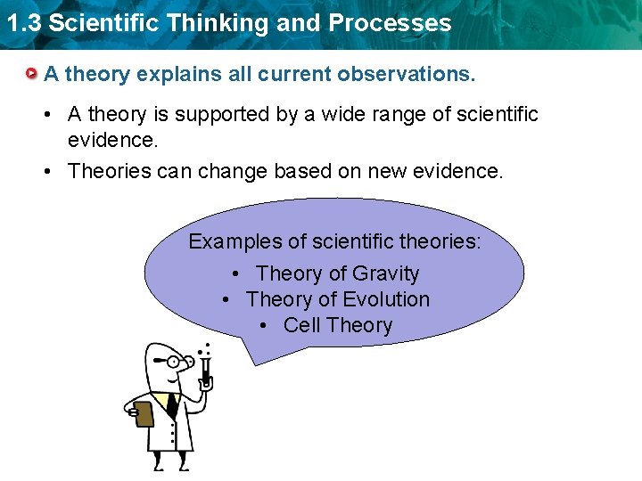 1 3 Scientific Thinking Bell andwork Processes Look
