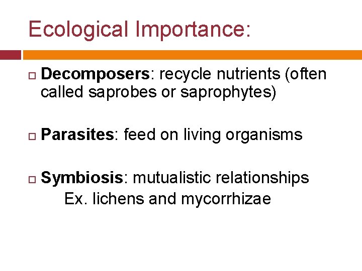 KINGDOM FUNGI Biology 11 Kingdoms Review What is