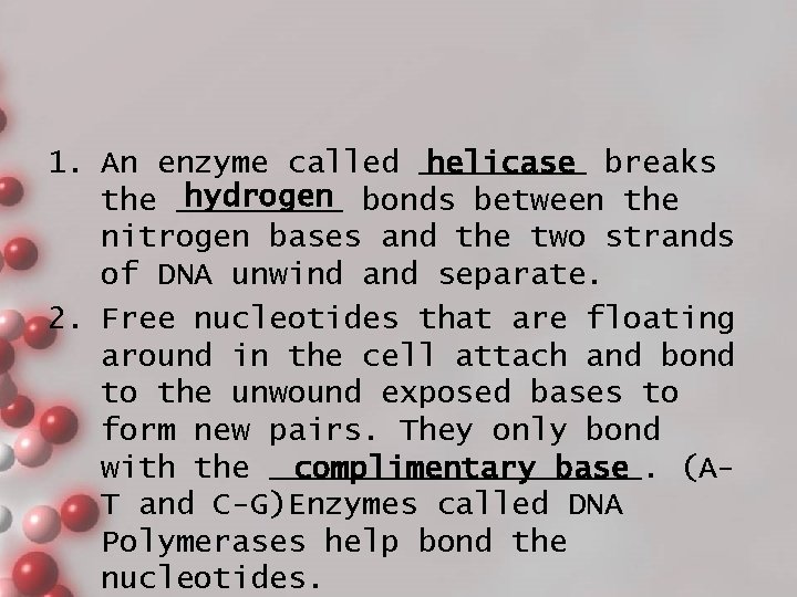 DNA and RNA Deoxyribonucleic acid DNA is made