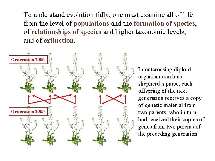 Evidence for Evolution Graduate Seminar Wrapup and summary