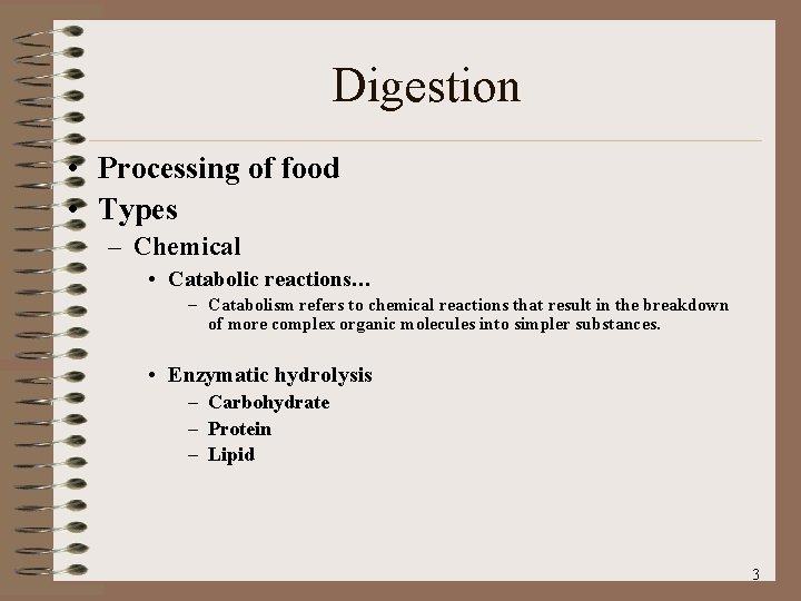 The Digestive System 1 Digestion Processing of food