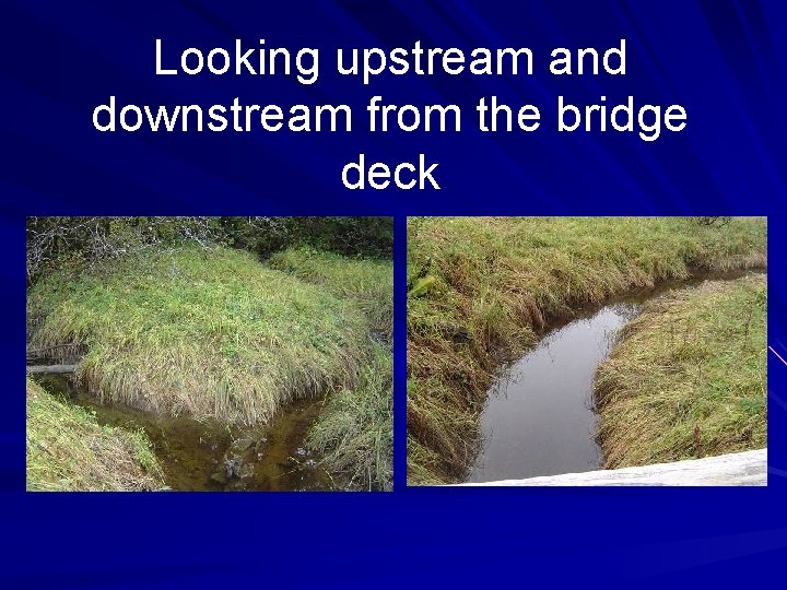 TRAIL BRIDGE INSPECTION PROCEDURES Objectives Learn the different