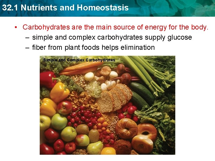 32 1 Nutrients and Homeostasis KEY CONCEPT Cells