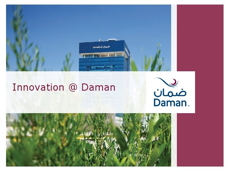 Innovation Daman Daman at a glance 30 seconds