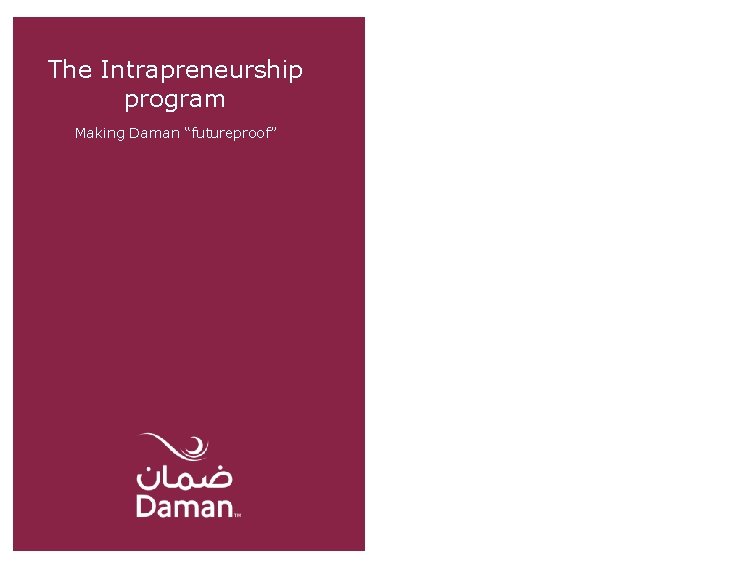 Innovation Daman Daman at a glance 30 seconds