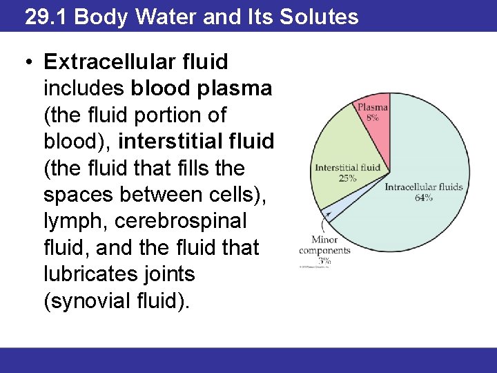 Outline 29 1 Body Water and Its Solutes