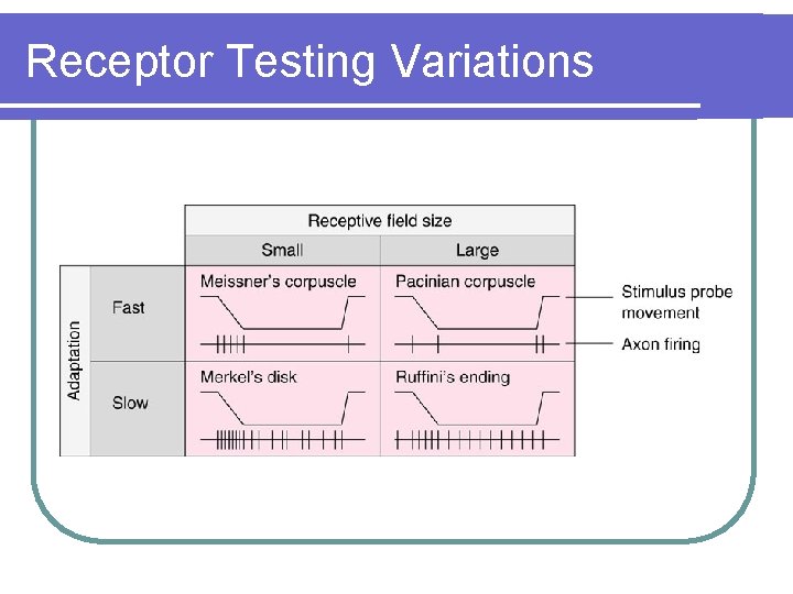 Somatic Senses General Sensory System Sensation l l