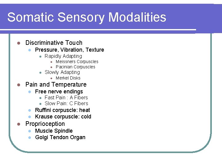 Somatic Senses General Sensory System Sensation l l