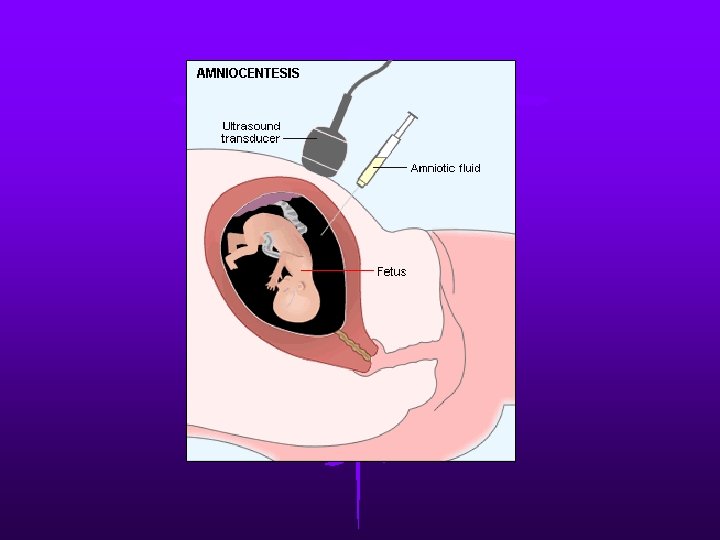 A Closer Look at Conception The Developing Child