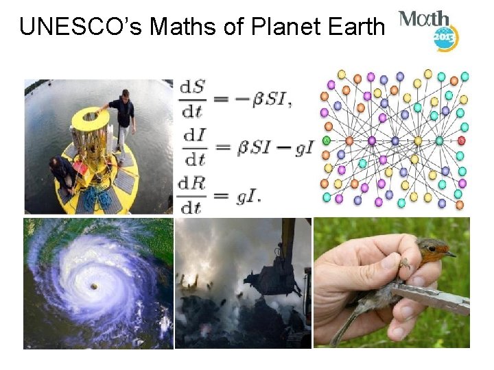 Stuart Townley Professor of Applied Mathematics Environment and