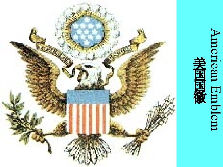 THE UNITED STATES OF AMERICA Society and Culture