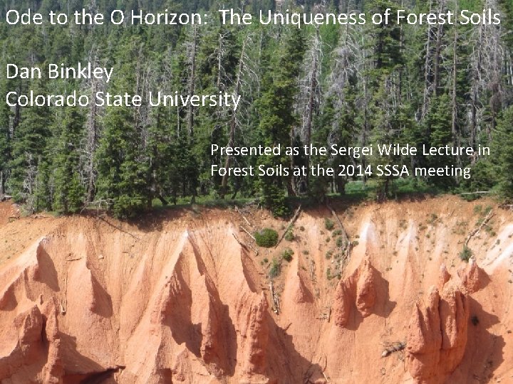 Ode to the O Horizon The Uniqueness of