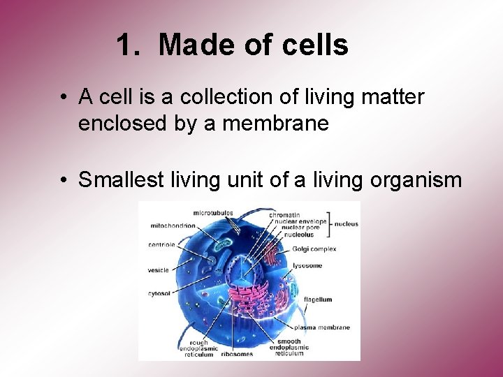 BIOLOGY AND THE CHARACTERISTICS OF LIVING THINGS Bell