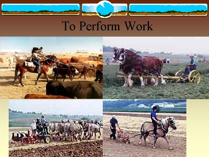 DOMESTICATION AND IMPORTANCE OF LIVESTOCK Downloaded from national