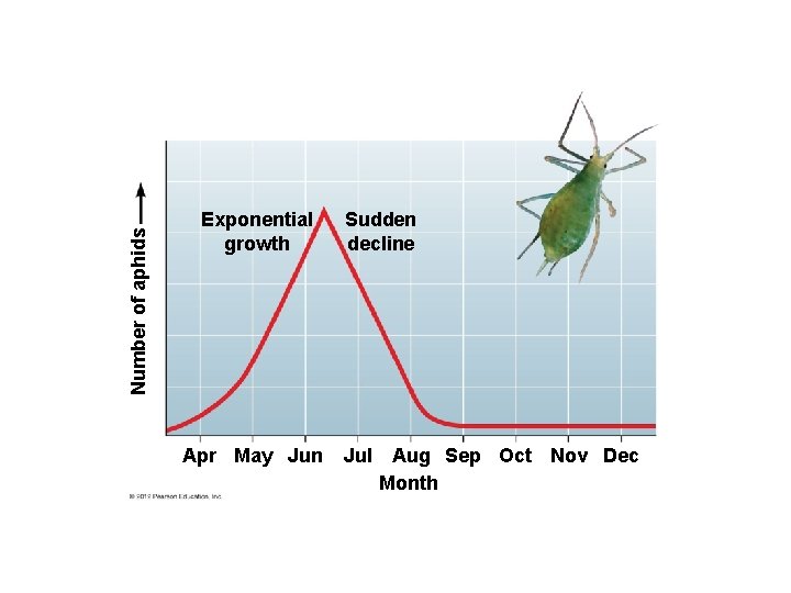 Population Ecology Descriptions and Characterizations of Populations How