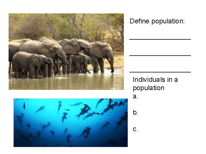 Population Ecology Descriptions and Characterizations of Populations How