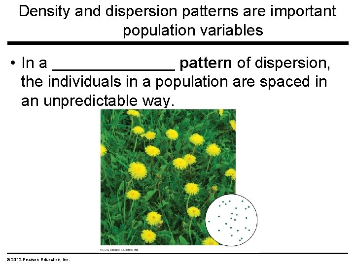 Population Ecology Descriptions and Characterizations of Populations How