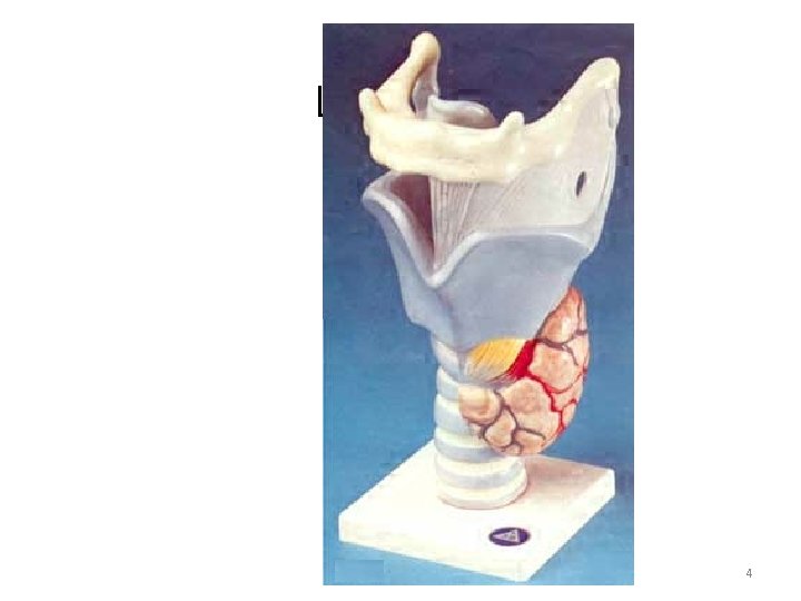 Assistenza pre e postoperatoria al paziente sottoposto a
