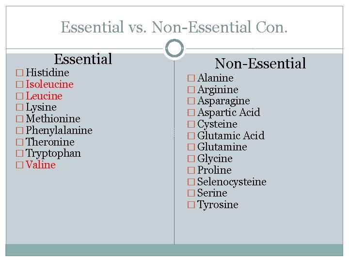 Amino Acid Supplements MIKE BAZARNICKI What Are They