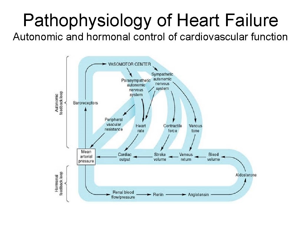 CONTEMPORARY STANDARDS IN TREATMENT OF CHRONIC HEART FAILURE