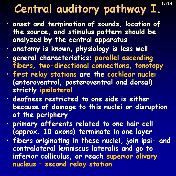 Auditory and vestibular system Sensory organs on the