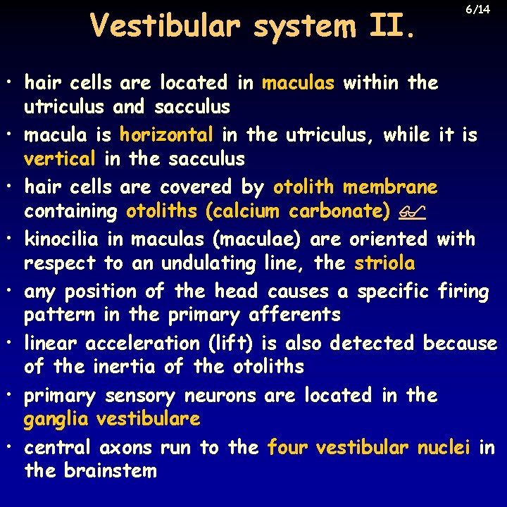 Auditory and vestibular system Sensory organs on the