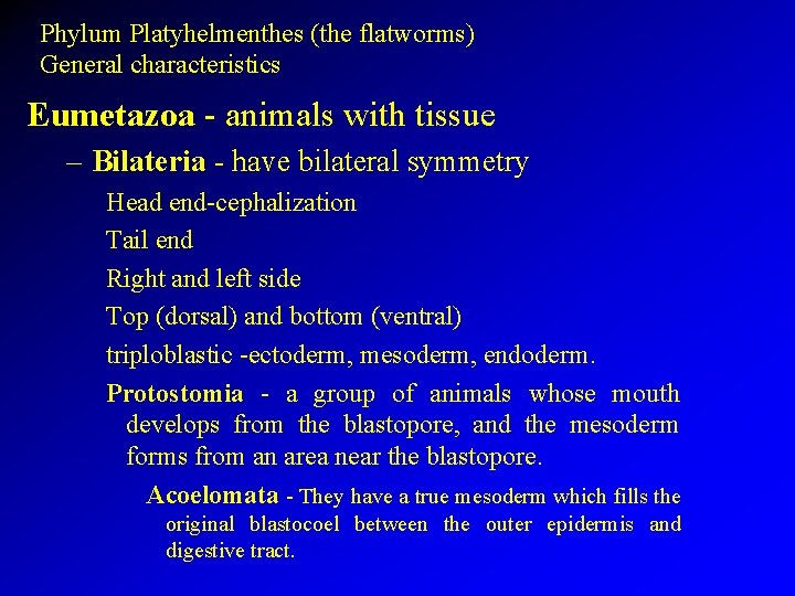 Phylum Platyhelmenthes the flatworms General characteristics Eumetazoa ...