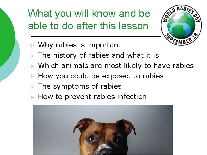 Learning to Make Rabies History Connecting Classrooms Globally