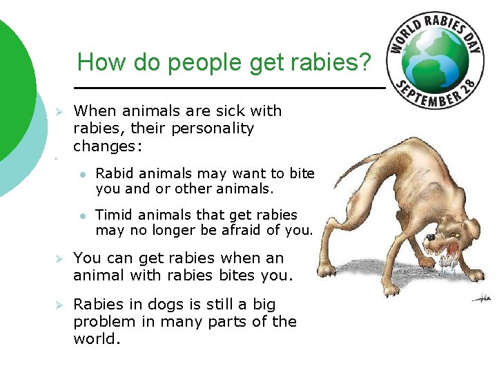 Learning to Make Rabies History Connecting Classrooms Globally