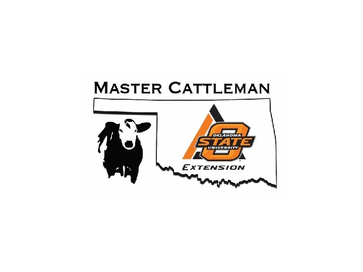 Supplementing and Feeding Calves and Stocker Cattle Discussion