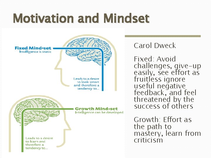 3 groups Discuss Mindset Mindsight or Flow Write